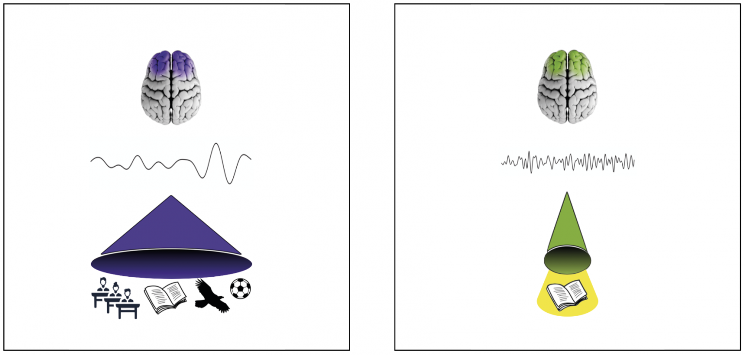 Brainmarker » ADHD: druk en vol hoofd door langzame hersenactiviteit?